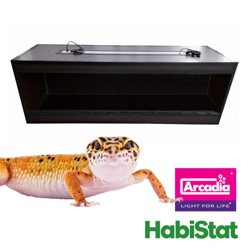 Betonplex terrarium Archieven - Reptiles Twente Webshop